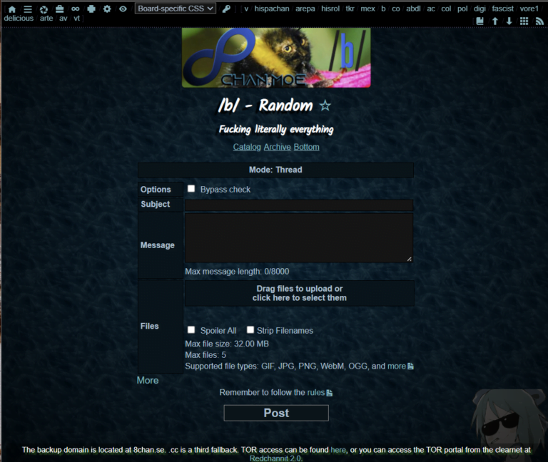 All Chans, Author at AllChans